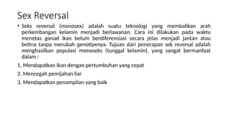 PROPOSAL PJBL Ebas Denga Bhaso, S.Pi.pptx