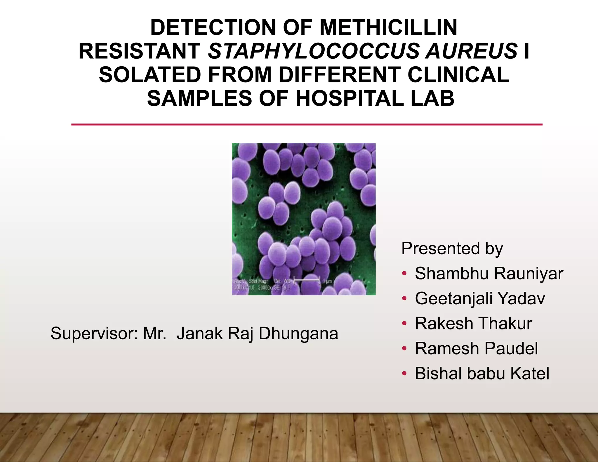detection of MRSA | PPTX