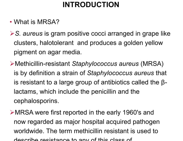 detection of MRSA | PPT