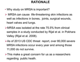 detection of MRSA | PPT