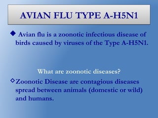 Avian flu Type A-H5N1 epidemiological model: Puerto Rico as a case ...