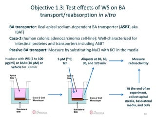 Proposed mechanism underlying the therapeutic effects of withania ...