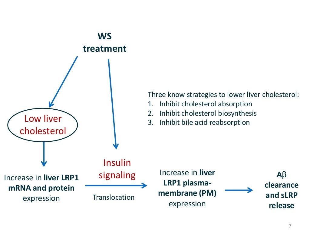 Proposed mechanism underlying the therapeutic effects of withania som…