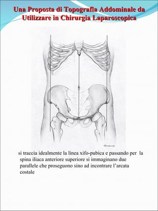 Proposta topografia addominale | PDF