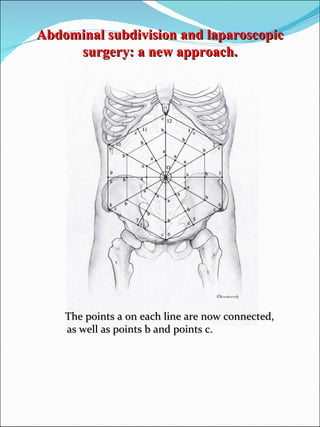 Proposed abdominal topography | PPT | Surgery | Medical Health