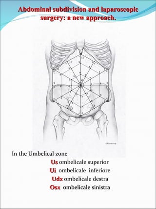 Proposed abdominal topography | PPT | Surgery | Medical Health