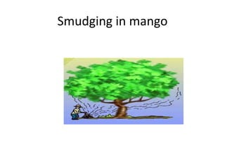 CULTURAL TECHNIQUEIN FRUIT CROP | PPT