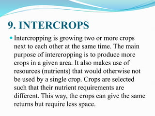 PROPRIETARY METHODS OF PEST CONTROL IN ORGANIC FARMING LECTURE 5.pptx