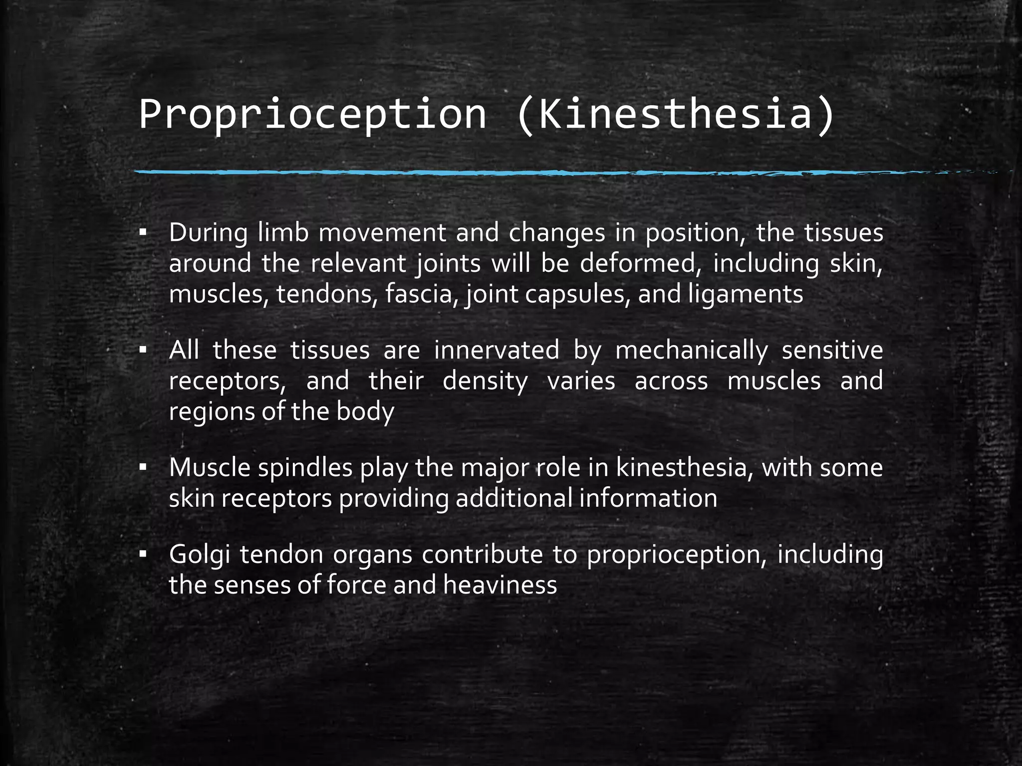 Proprioception | PPTX