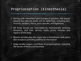 Proprioception | PPTX