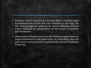 Proprioception | PPTX