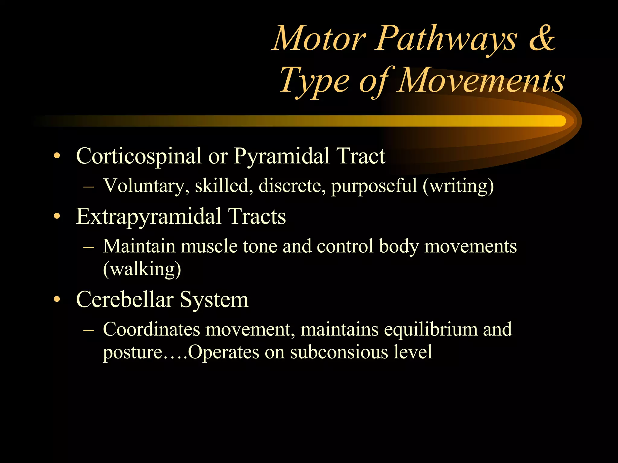 NurseReview.Org - Proprioception & Cerebellar Function | PPT