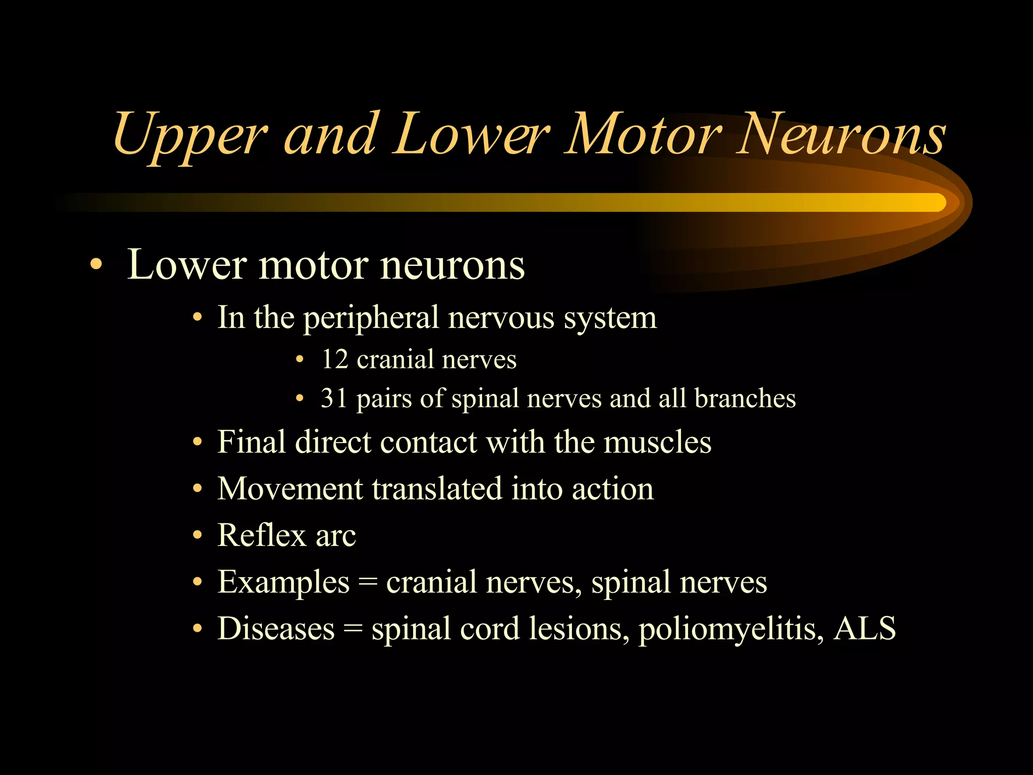 NurseReview.Org - Proprioception & Cerebellar Function | PPT