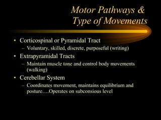 NurseReview.Org - Proprioception & Cerebellar Function | PPT