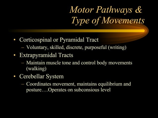 NurseReview.Org - Proprioception & Cerebellar Function | PPT