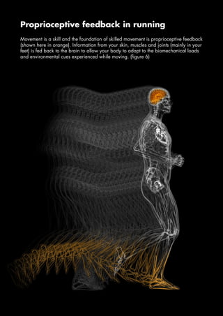 Proprioception making sense of barefoot running by lee saxby | PDF