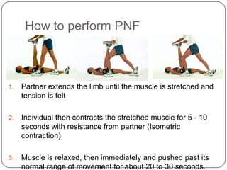 Proprioceptive neuromuscular facilitation | PPTX