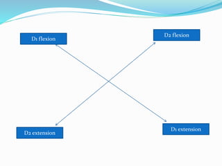 Proprioceptive neuromuscular facilitation | PPTX