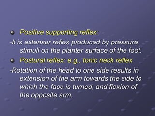 Proprioceptive neuromuscular facilitation | PPT