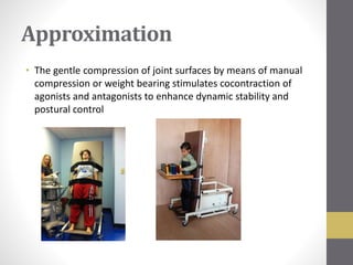 Proprioceptive Neuromuscular Facilitation.pptx