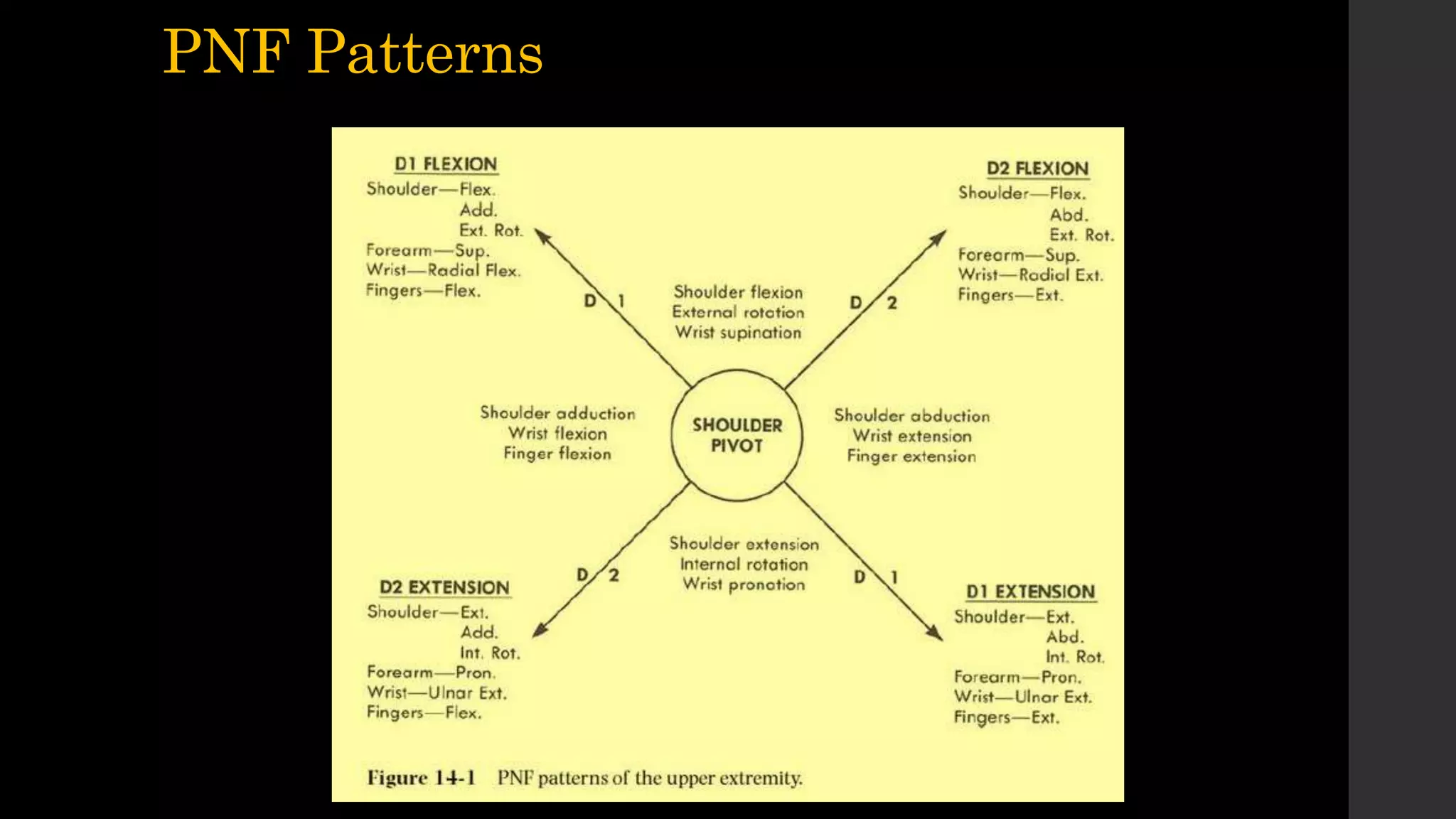 Proprioceptive neuromuscular facilitation (pnf) | PPT | First Aid ...