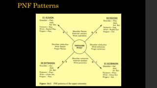 Proprioceptive neuromuscular facilitation (pnf) | PPT