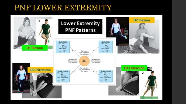 Proprioceptive neuromuscular facilitation (pnf) | PPT | First Aid ...