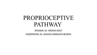 PROPRIOCEPTIVE PATHWAY.pptx involving information about sense of ...