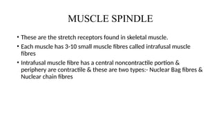 PROPRIOCEPTIVE PATHWAY.pptx involving information about sense of ...