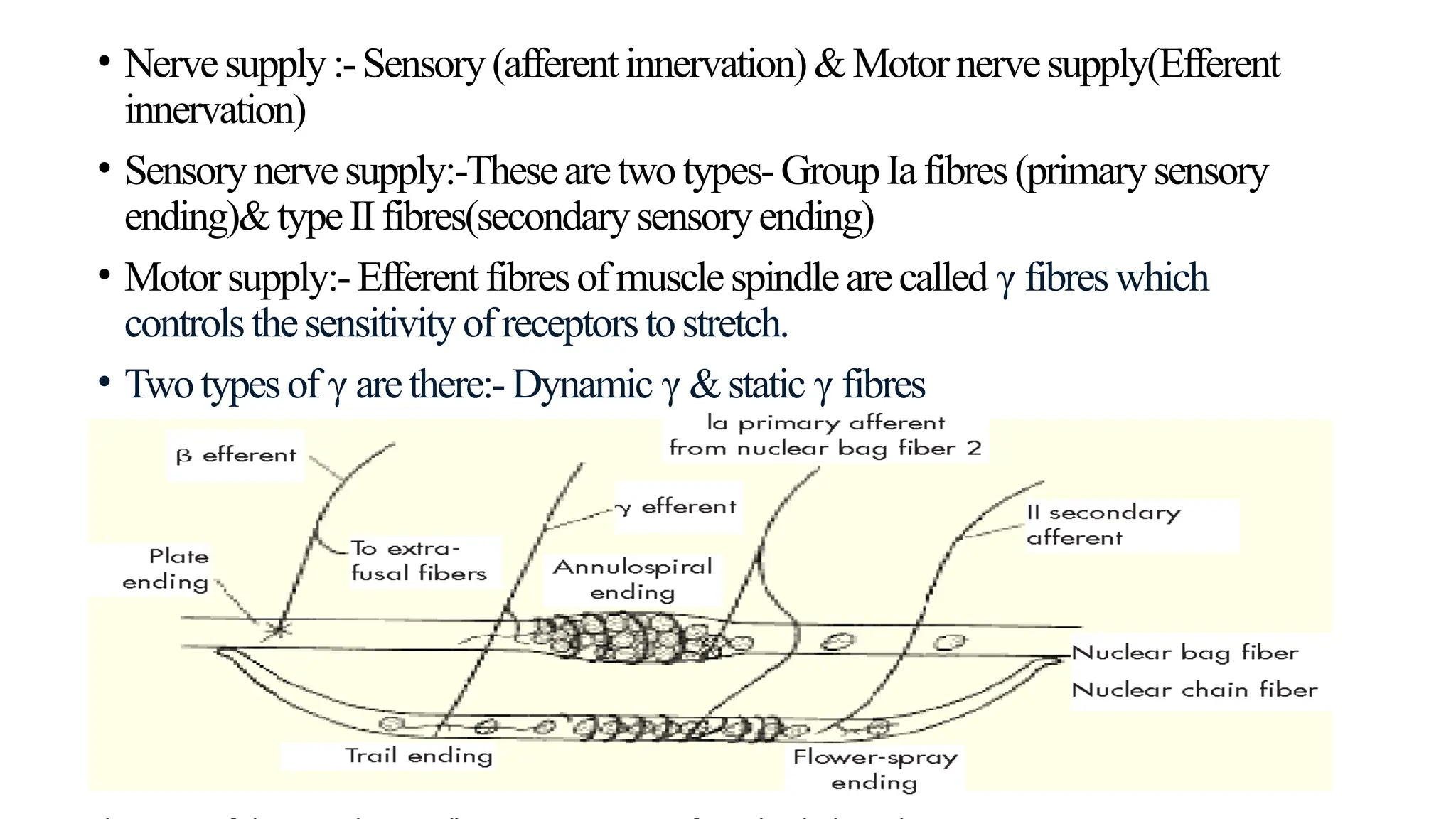 PROPRIOCEPTIVE PATHWAY (1).ppt dorsal column medial lemniscal system.x ...