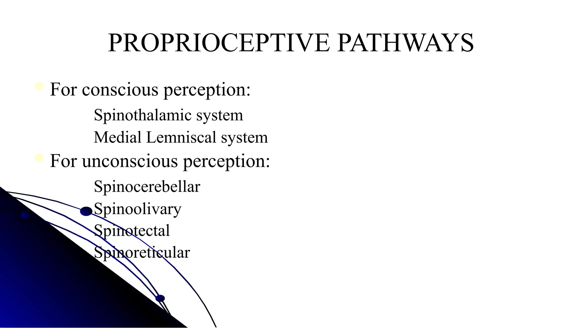 PROPRIOCEPTIVE PATHWAY (1).ppt dorsal column medial lemniscal system.x ...