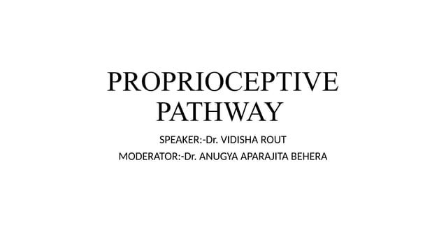 PROPRIOCEPTIVE PATHWAY (1).ppt dorsal column medial lemniscal system.x ...