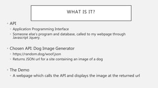 Pro project presentation api demo | PPTX