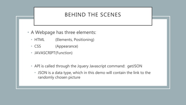 Pro project presentation api demo | PPTX