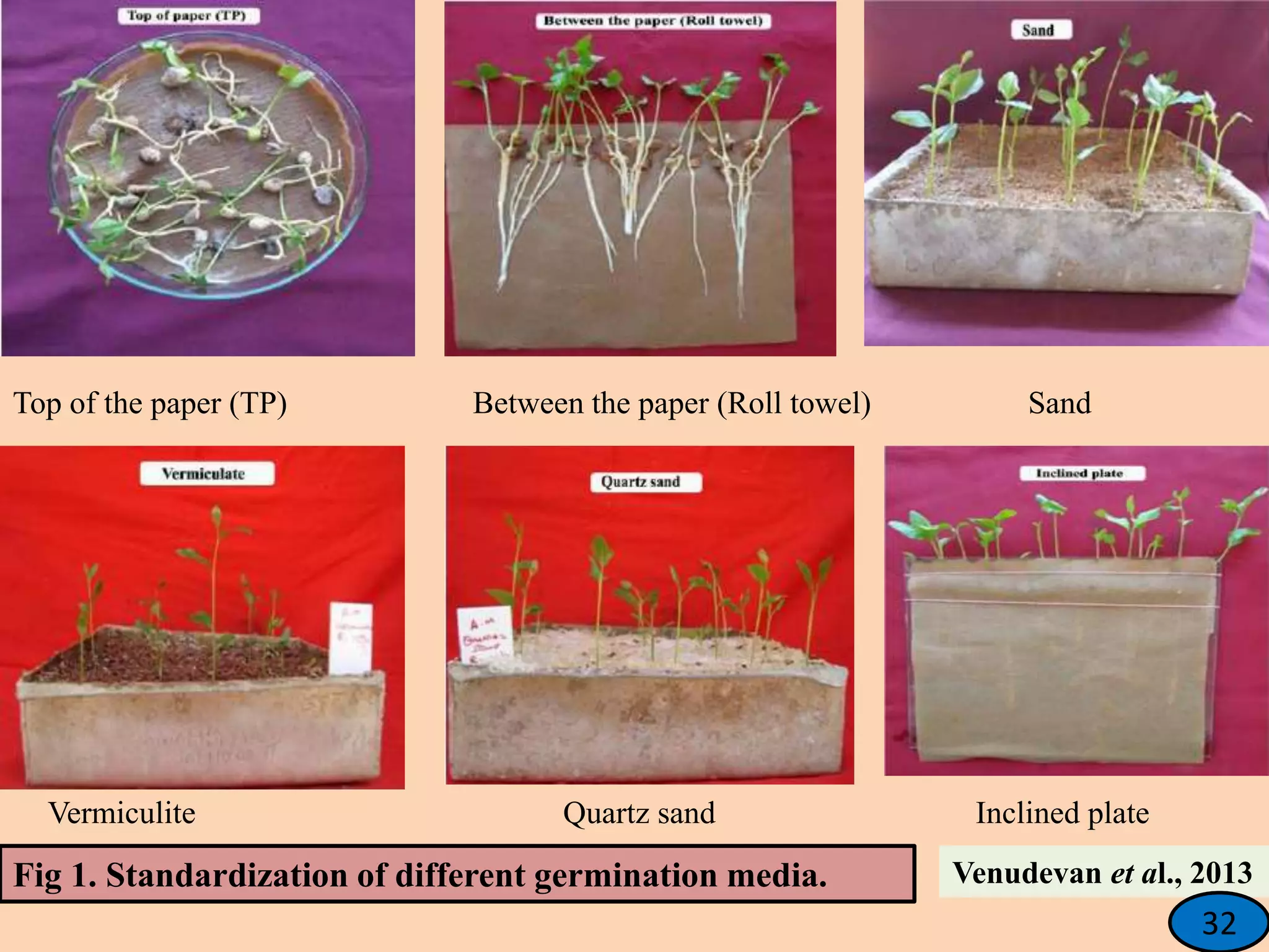 PROP STUDIES IN UNDER EXPLOITED CROPS -.pptx | Agriculture | Industries