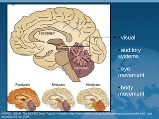 Alzheimer's and Parkinson's disease common cause | PPTX