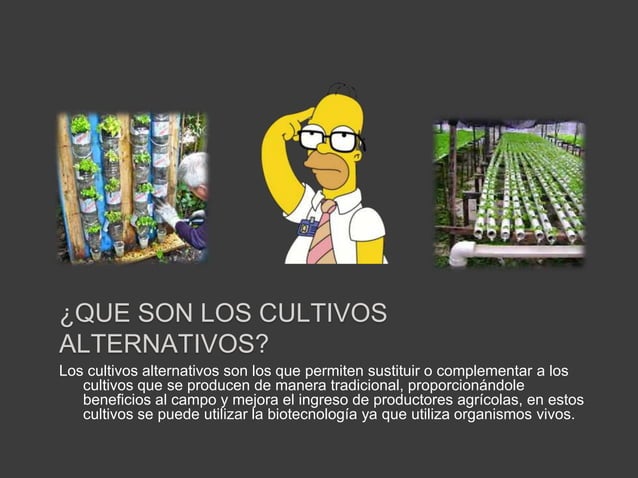 Propuesta Cultivos Alternativos Ppt