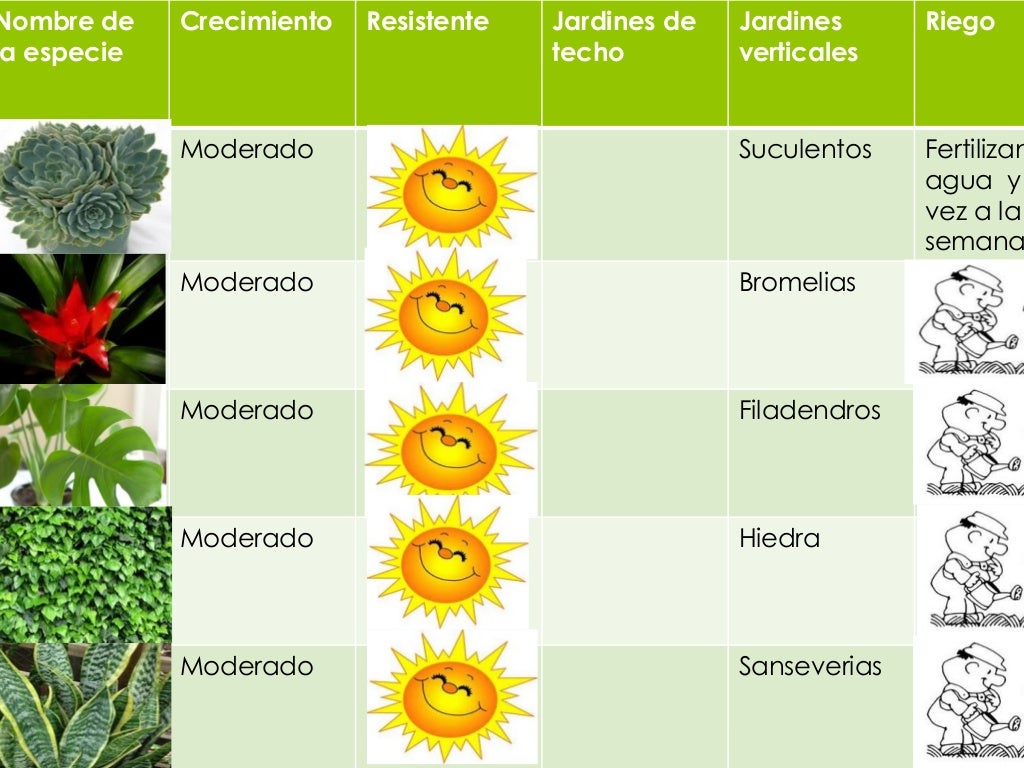 Propuesta de plantas y de sombras