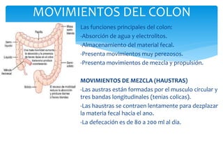 Propulsión y mezcla de los alimentos en el | PPTX