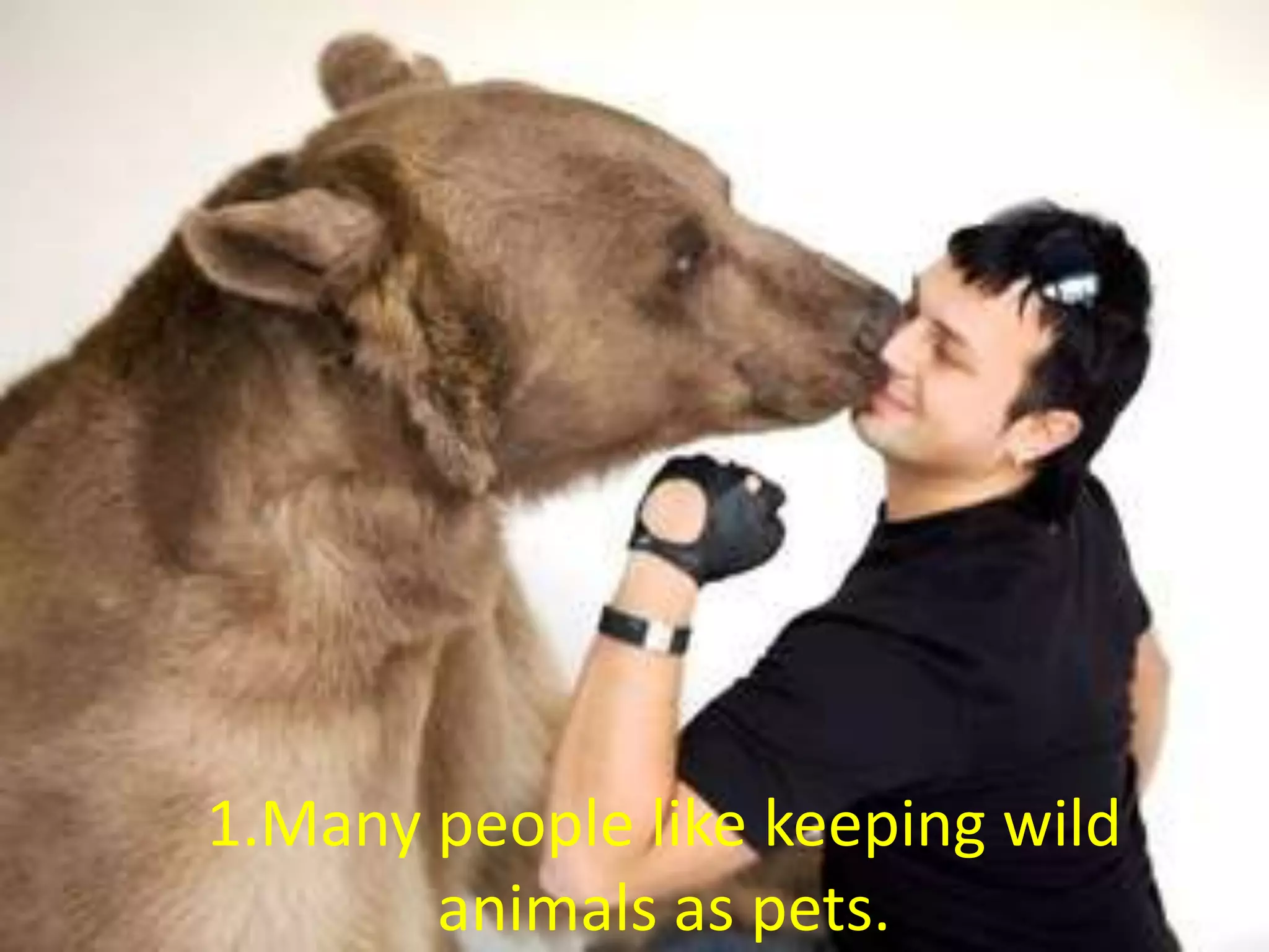 Pros and cons of keeping wild animals as pets. | PPT