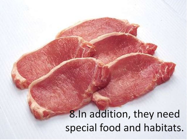 Pros and cons of keeping wild animals as pets. | PPTX