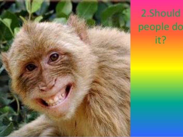 Wild Animals Becoming Pets