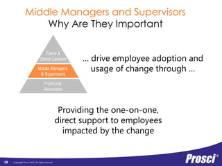 Prosci Roles in Change Management | PDF