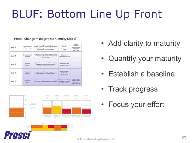 Prosci Webinar: Auditing Change Management Maturity | PDF | Business ...