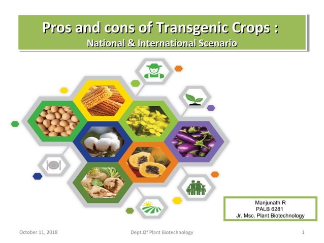 Pros and cons of Transgenic crops current scenario | PPT | Agriculture | Industries
