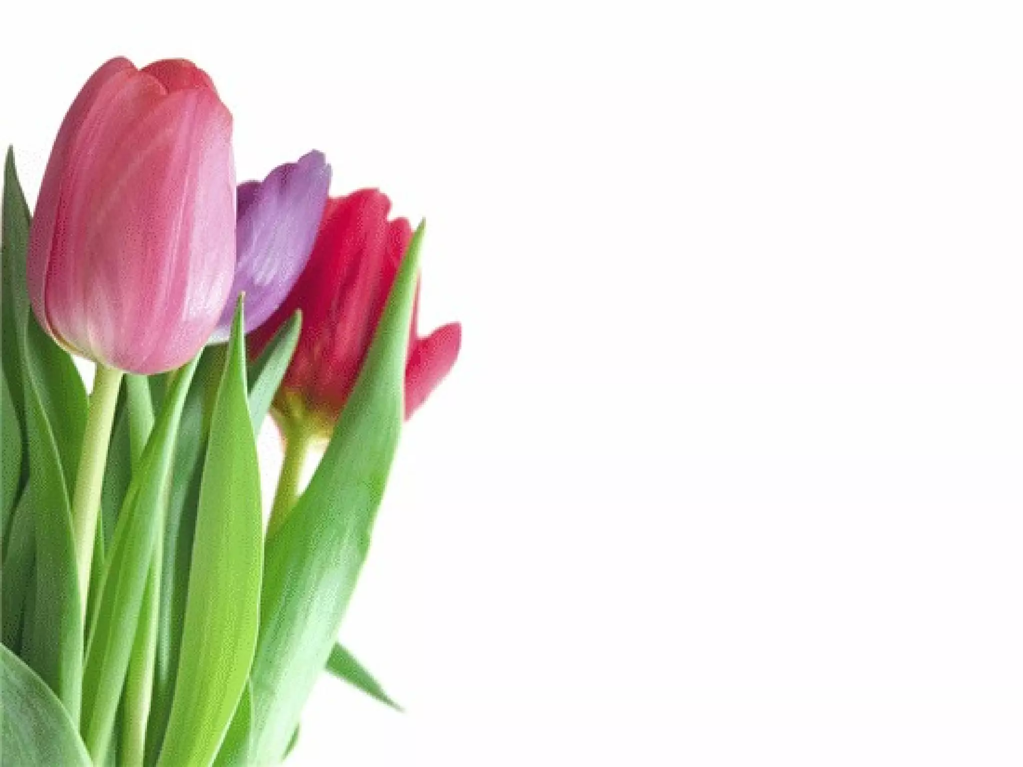 Prose and poetry | PPT