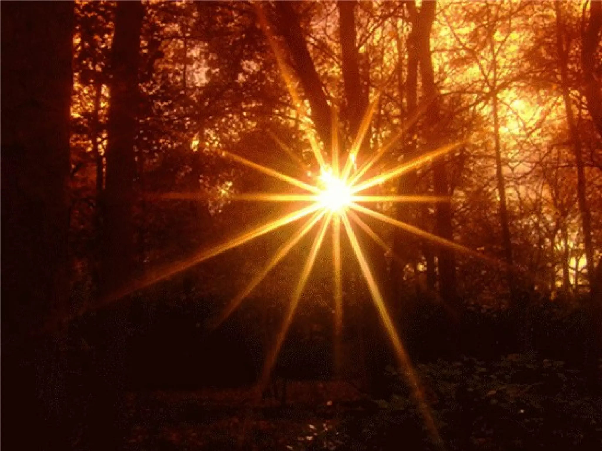 Prose and poetry | PPT