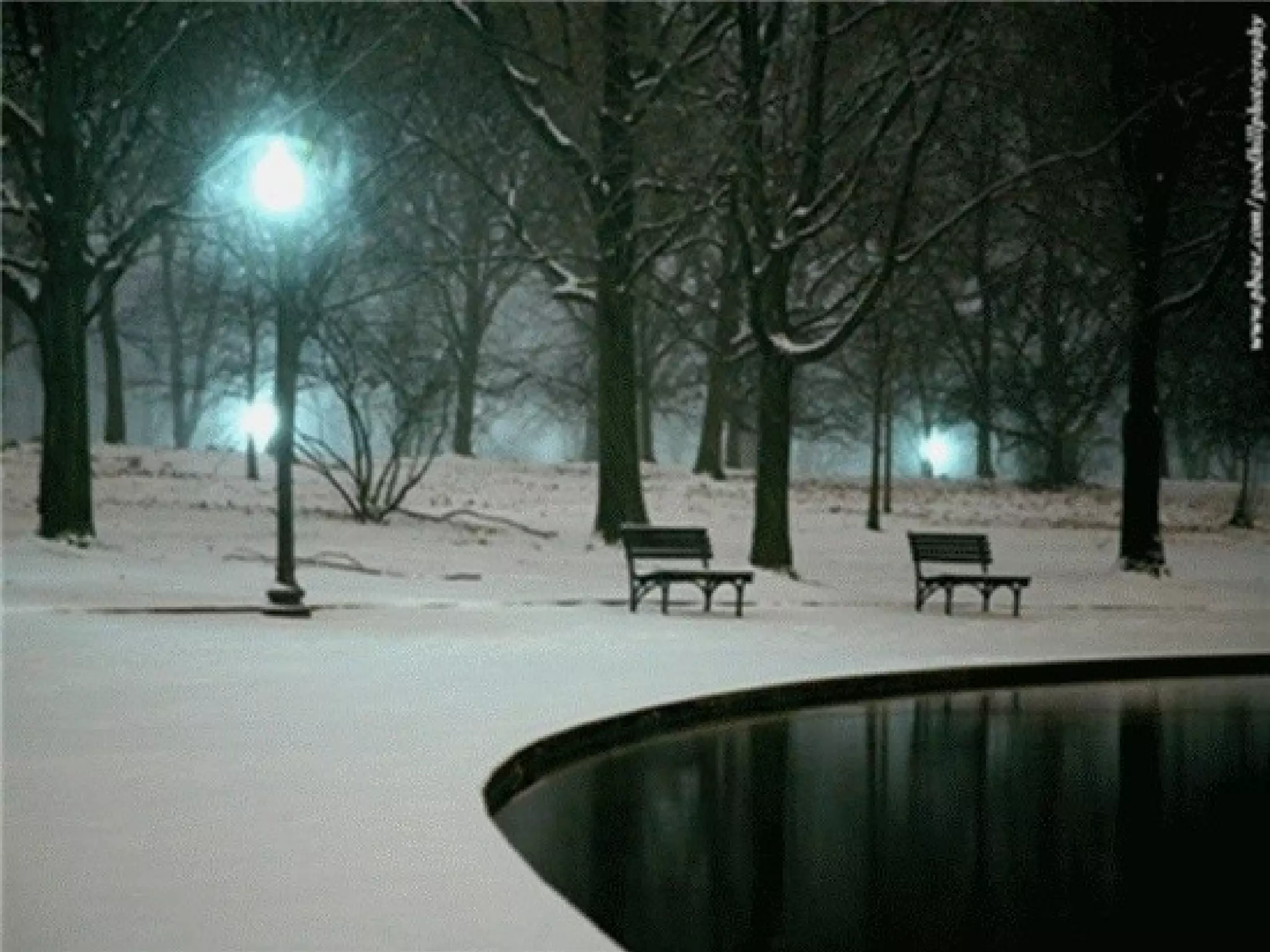 Prose and poetry | PPT