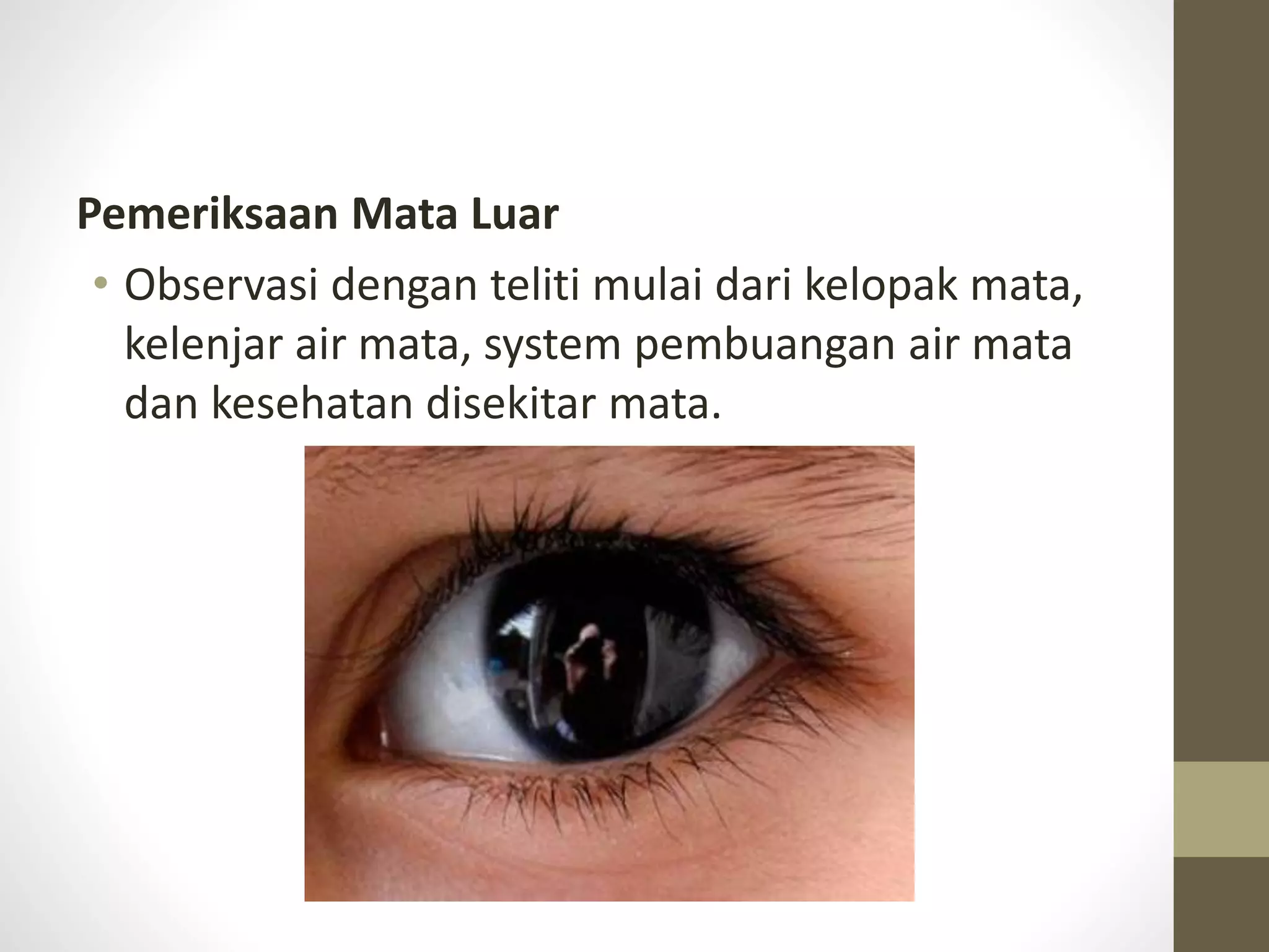 Prosedur diagnostik mata | PPTX