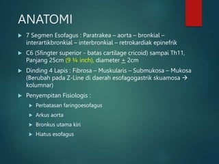 PROSEDUR GI - UG.ppt
